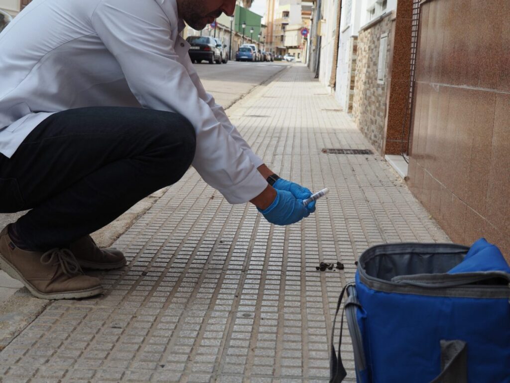 L’Ajuntament de Miramar comença a analitzar les mostres de femta en la ...